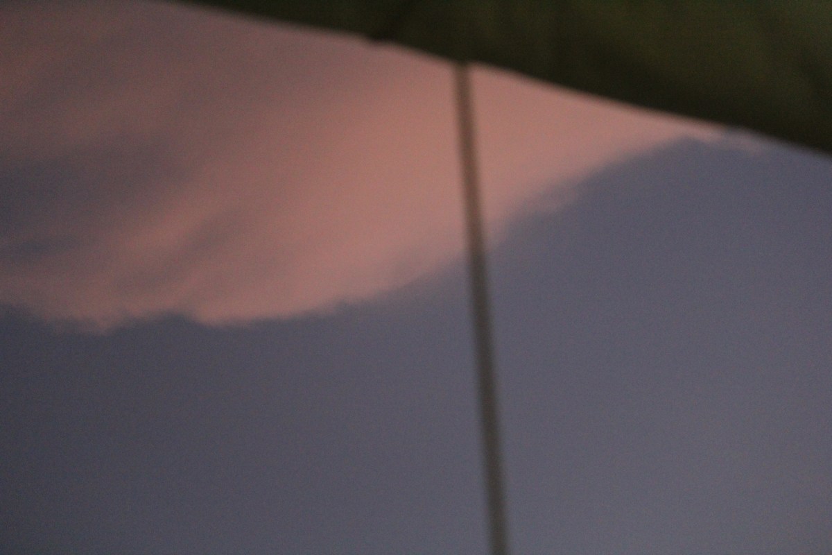 Frogmarch in Dharamshala / Lina Krishnan – RIC Journal