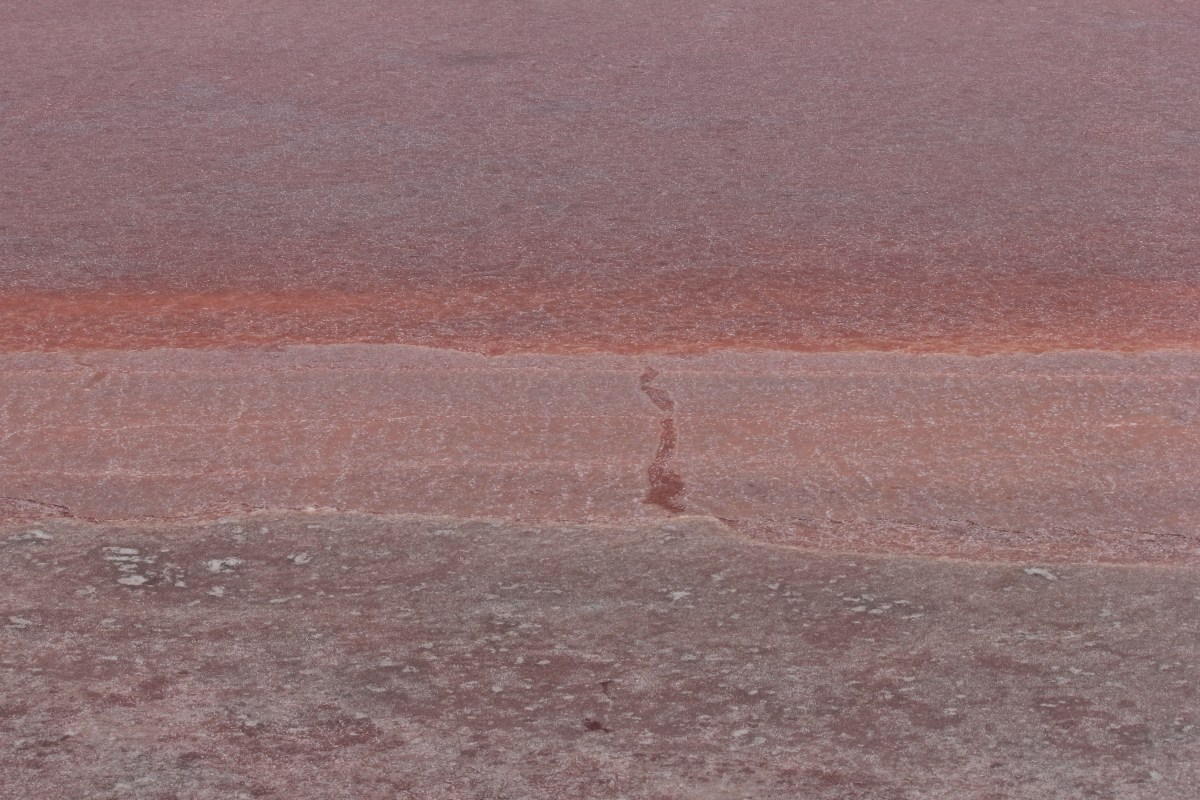 A line from Isadore Ducasse / Mark Young – RIC Journal